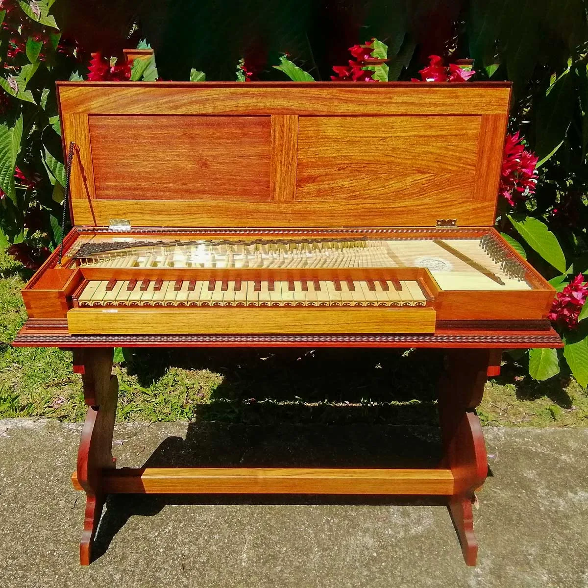 Instrumento De Cravo